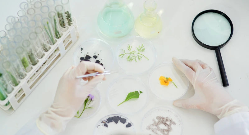 The Science Behind Botanical Skincare: How It Works